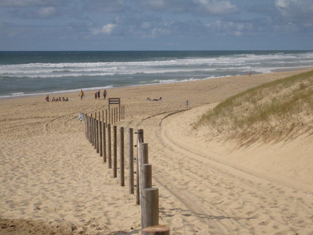 Photo Prendre un bain de nature dans les Landes