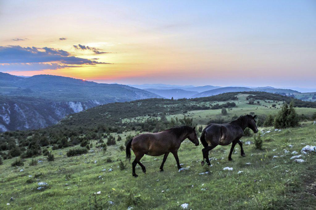Photo La Serbie, découverte et guide de visite