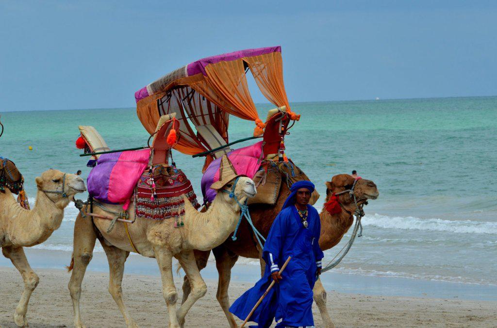 Photo Vacances à Djerba